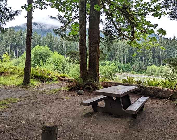 A lone picnic table framed by towering conifers and misty mountains &mdash; your morning coffee deserves this view.