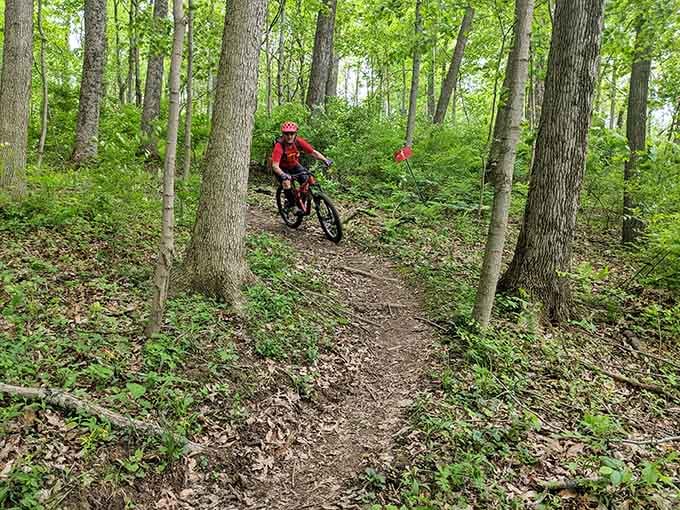 Mountain biking through Hueston Woods feels like the forest built these trails just for you personally.