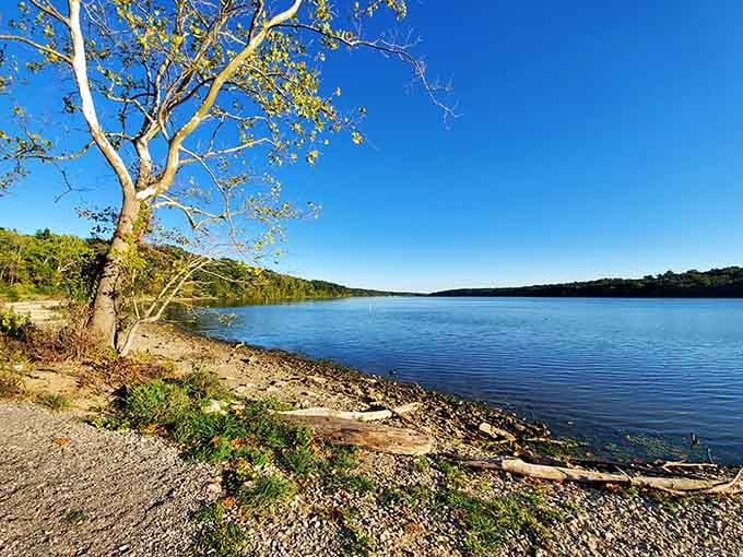 Acton Lake at golden hour looks so good it almost feels unfair to the rest of Ohio.
