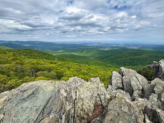 Cloudy days create their own drama up here, painting the valley in moody shades of green and gray.