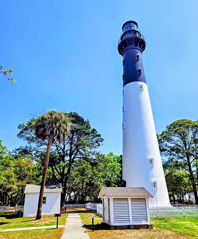 This lighthouse has been guiding ships and Instagram photographers to safety for generations, standing tall like a coastal sentinel.