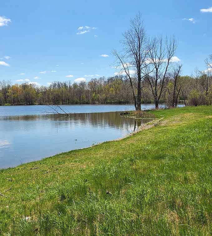 Spring arrives quietly along the Maumee, turning the riverbank into something genuinely worth staring at.