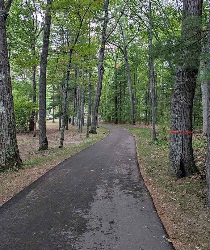 A paved path through towering pines. Your morning walk just got a serious upgrade.
