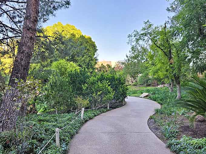 Golden evening light on a curving garden path, and suddenly your to-do list feels very far away.