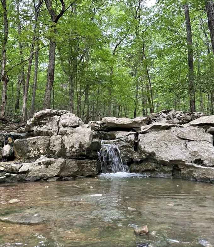Gentle cascade tumbling over weathered rocks, creating the kind of soothing soundtrack no meditation app can match.