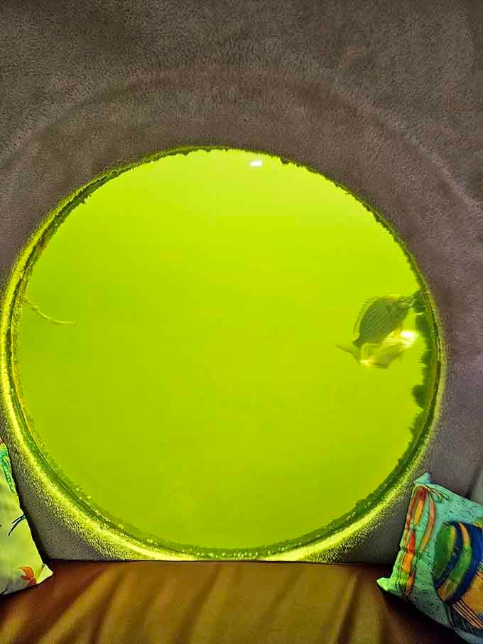 The porthole glows like a giant lava lamp, except the blobs are actual marine life swimming past.