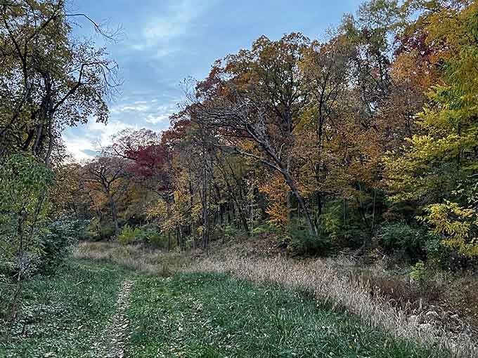The trails wind through lush greenery like nature's own obstacle course, minus the reality TV drama.