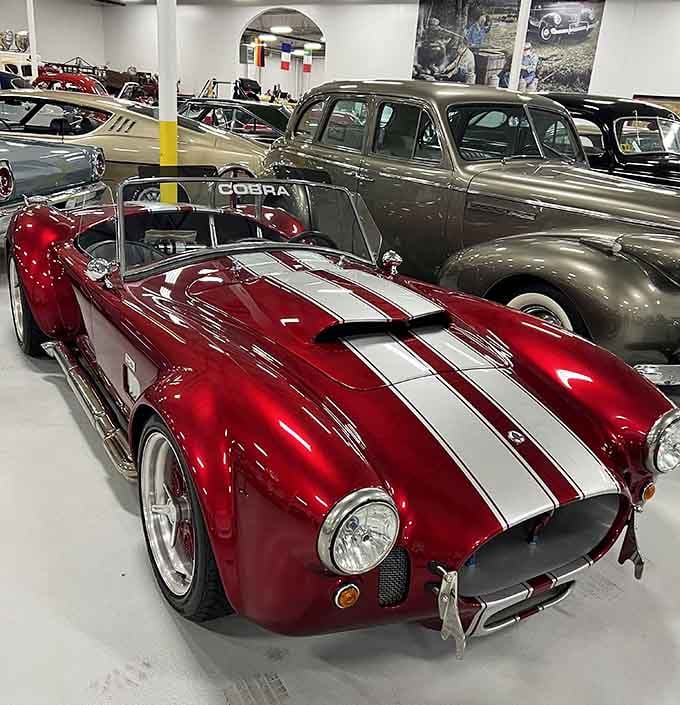 A candy-apple red Shelby Cobra sitting among classics, because apparently this museum doesn't do things halfway.