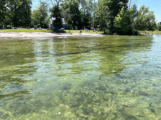 Water so clear you can count the rocks on the bottom, which is either refreshing or slightly unnerving depending on your swimming confidence.