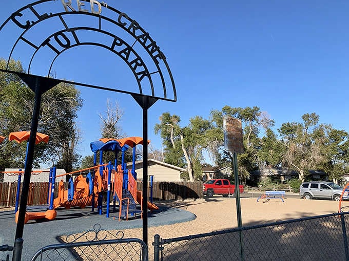 Red Crane Park offers playground equipment and open space where kids can actually be kids without supervision anxiety.