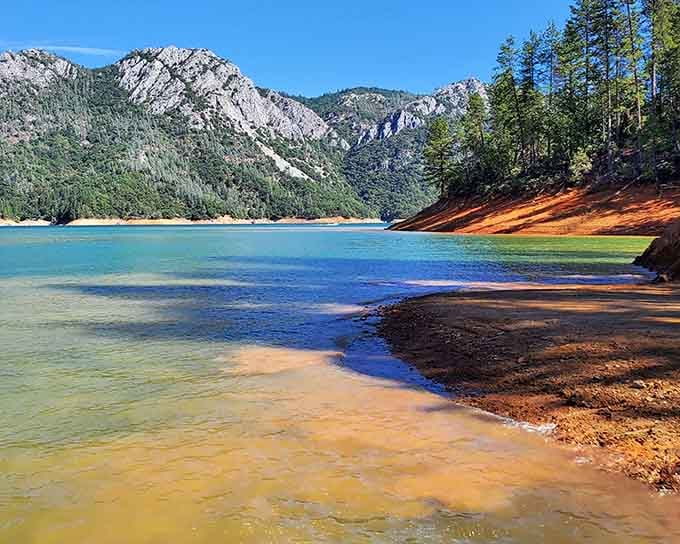 Lake Shasta's shoreline looks like it was painted by someone who really wanted to show off.