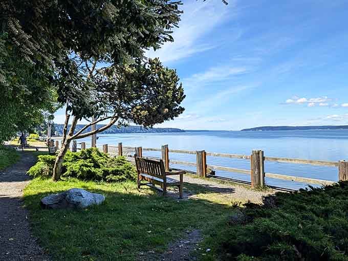 Seawall Park offers a bench, a view of Saratoga Passage, and absolutely zero reasons to check your phone.