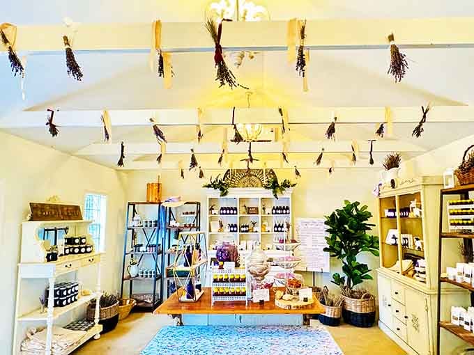 Bundles of dried lavender hang overhead like fragrant chandeliers in this charming little shop.