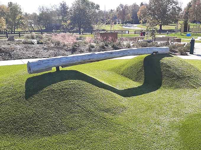 Balance beams that challenge coordination while looking like they belong in a nature documentary about Kentucky craftsmanship.