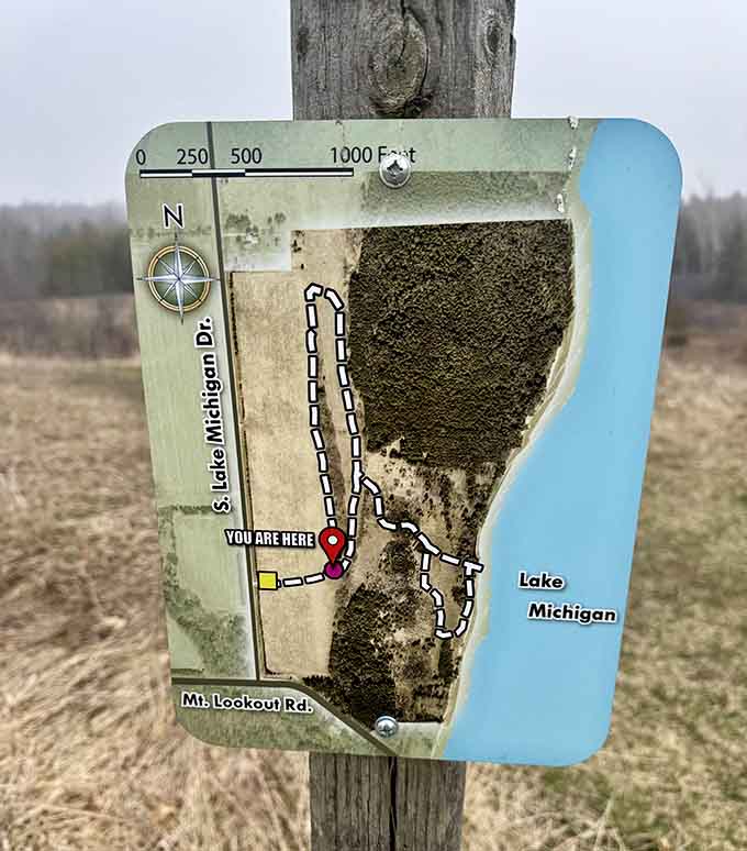 The trail map that proves you don't need a complicated plan to have a genuinely wonderful day outside.