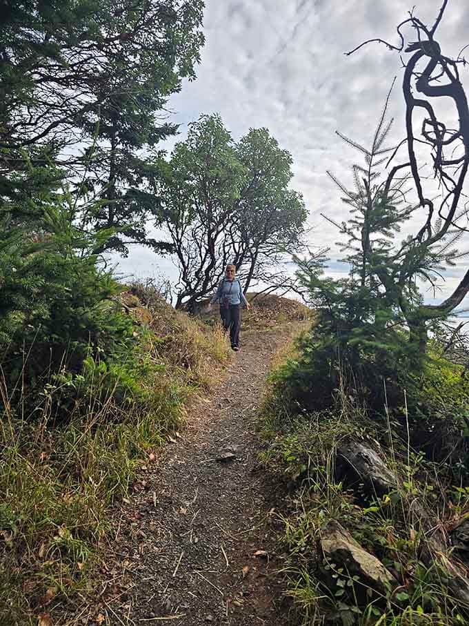 Forest trails wind toward the water, each turn potentially revealing the view you've been waiting for.