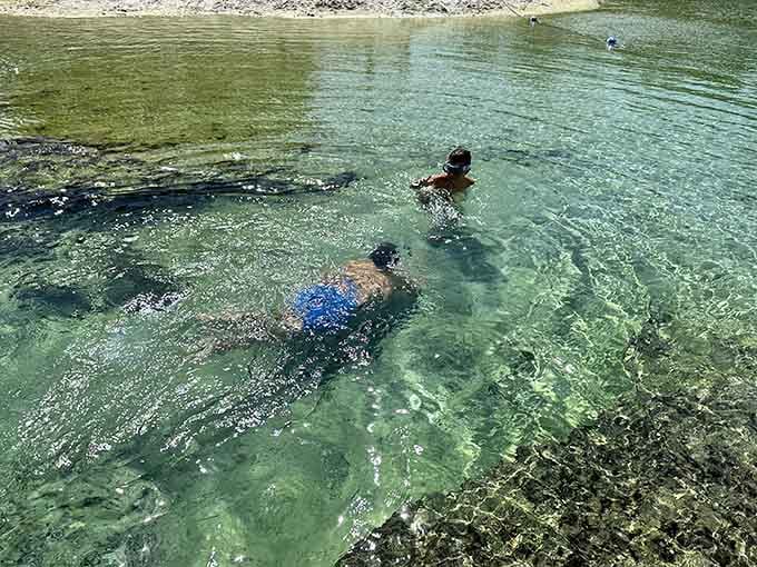When the water's this clear, you can practically count the smiles on every swimmer's face.