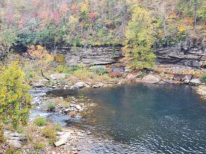 Little River in fall looks like someone spilled every warm color from a painter's palette into the canyon.