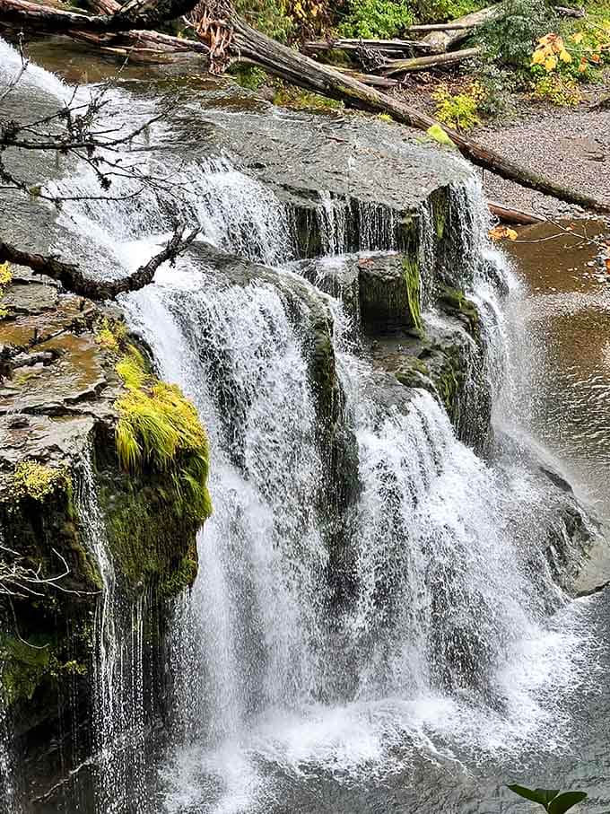 Moss-covered rocks and cascading water create layers of green that make your eyes very, very happy indeed.