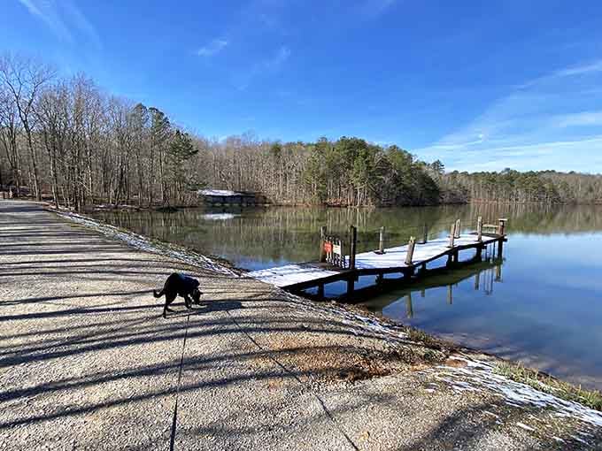 Even on a snowy day, this fishing dock and its four-legged visitor make a pretty convincing argument for getting outside.