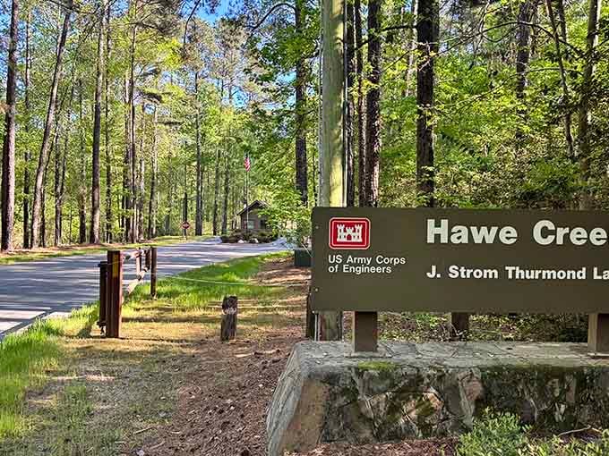 Hawe Creek Campground on Thurmond Lake offers wooded sites perfect for escaping civilization without completely abandoning indoor plumbing.
