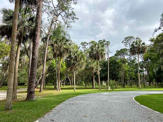 A gravel path lined with palms and live oaks. Nature's version of a red carpet, no velvet rope required.