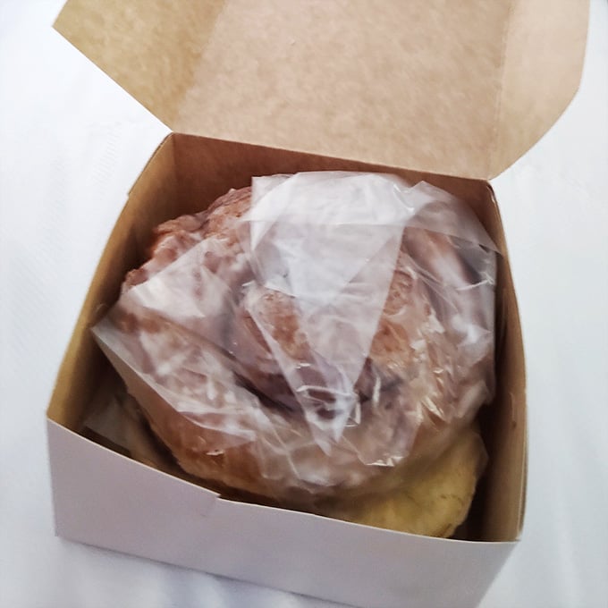 Boxed up and ready to travel, this cinnamon roll barely fits and absolutely does not care.