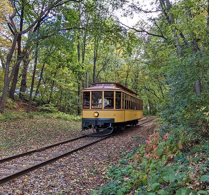 Gliding through a tunnel of autumn trees, this little yellow car makes the whole world feel slower and better.