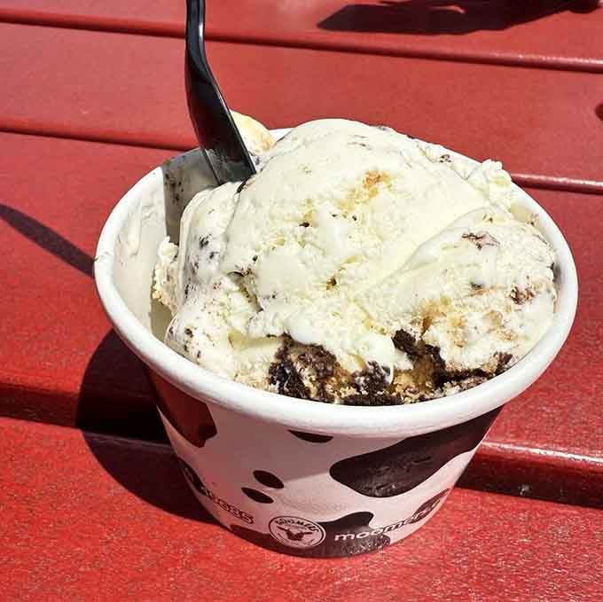 Creamy, loaded, and completely serious about flavor. Moomers' Oreo Cheesecake ice cream means business.
