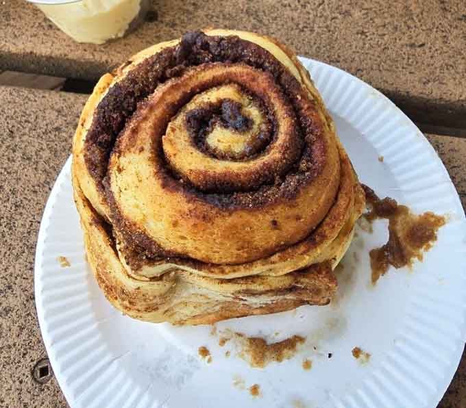 Layers of cinnamon and soft dough spiraling upward like a delicious architectural achievement nobody asked for but everyone needs.