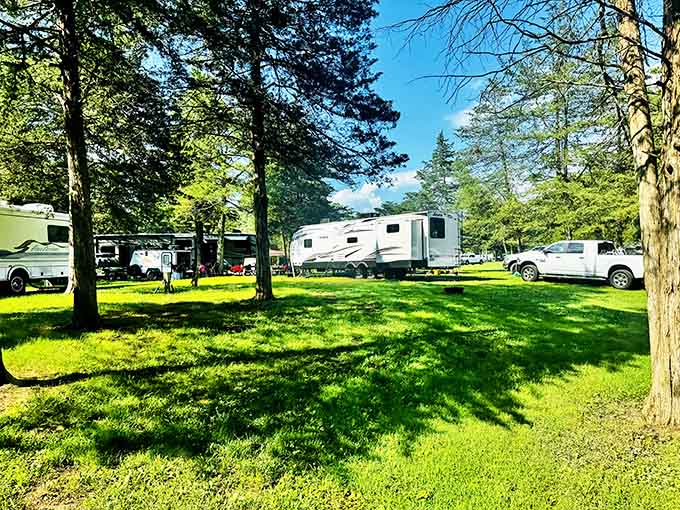 The campground offers shaded sites where you wake up to views that beat any hotel window in existence.