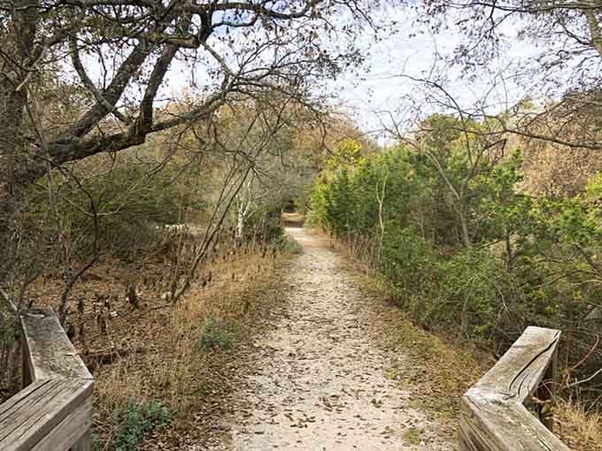 Wooden railings, a gravel path, and the quiet feeling that something extraordinary is just around the next bend.