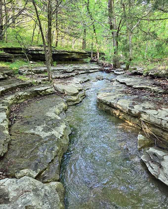 Crystal-clear water threading through ancient limestone channels. The Ozarks have been perfecting this look for millions of years.