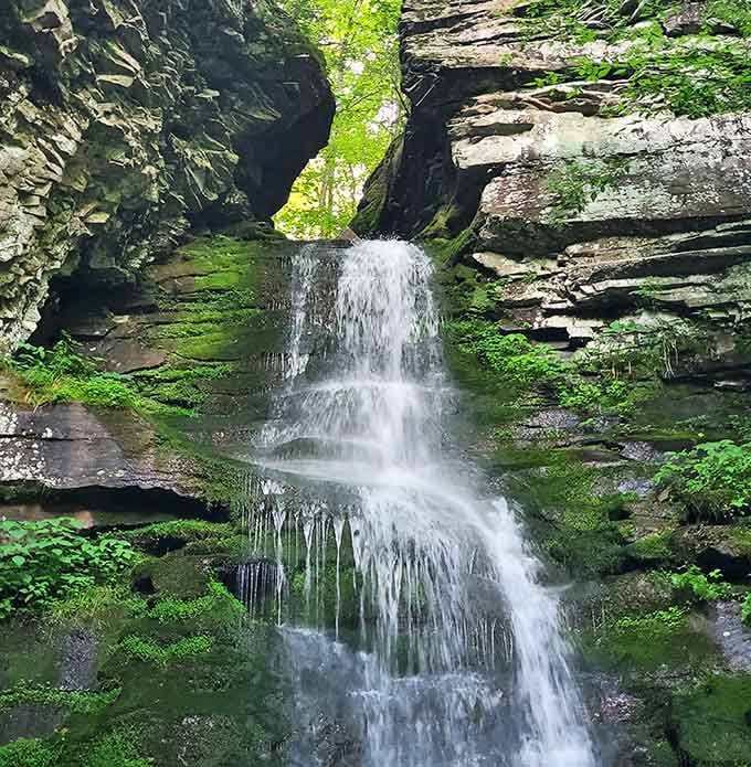 Tucked behind the trees, this little waterfall is the Catskills' best-kept secret handshake.