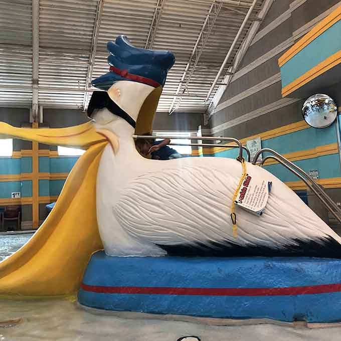Meet Parkie, Pelican Harbor's beloved pelican slide. Equal parts charming mascot and genuinely fun ride.