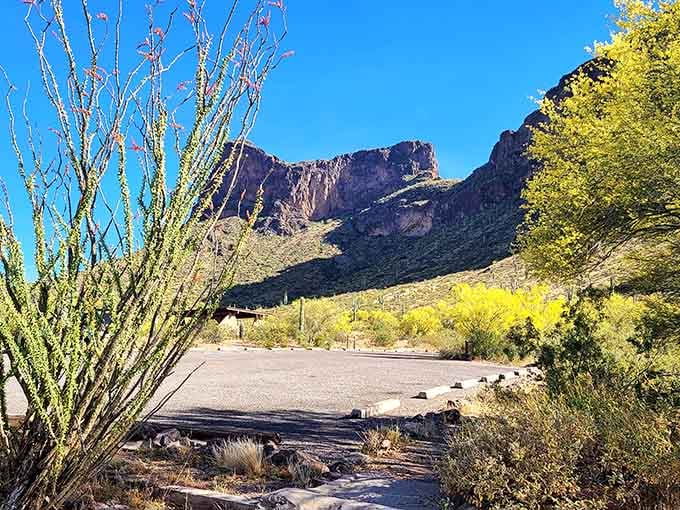 Even the parking area comes with a jaw-dropping mountain backdrop, because Picacho Peak doesn't do anything halfway.