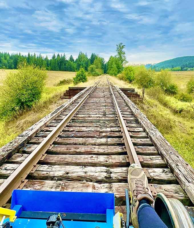 The tracks stretch out ahead like an open invitation. Go ahead, the scenery isn't going to admire itself.