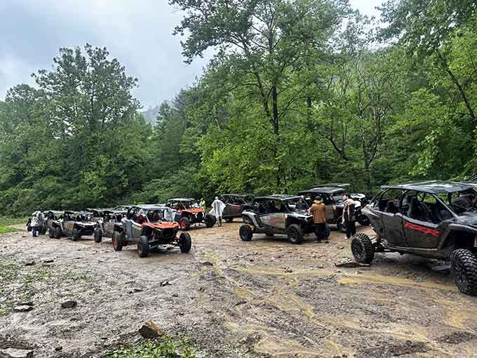 A fleet of off-road vehicles lined up and ready, because some adventures require getting a little muddy first.