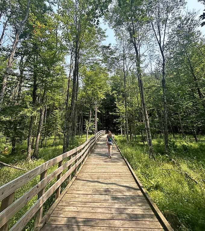 A wooden boardwalk cuts through lush summer green. Rib Mountain's trails offer variety that keeps every visit fresh.