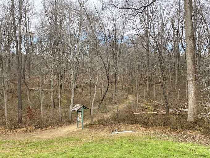 This Hidden Nature Center In Maryland Is The Ultimate Family Day Trip ...