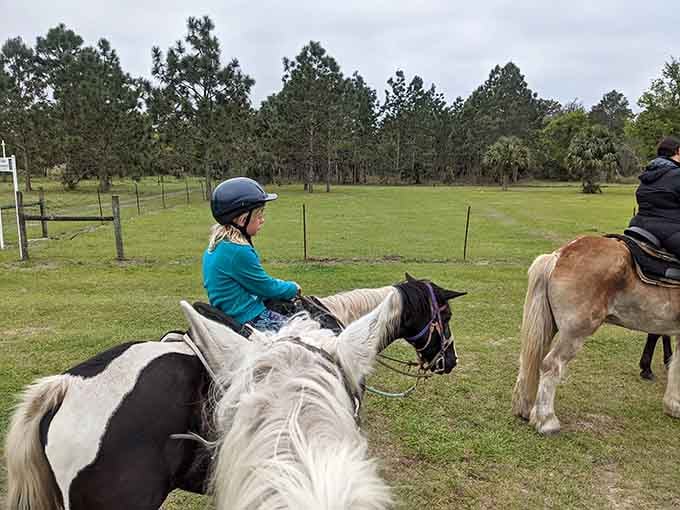 Trail riding through Florida wilderness beats any indoor spin class, and the scenery's significantly better than staring at a wall.