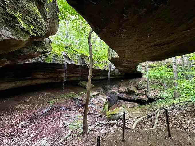 Standing beneath the sandstone arch feels like discovering a cathedral that nobody built, complete with twin waterfalls for atmosphere.