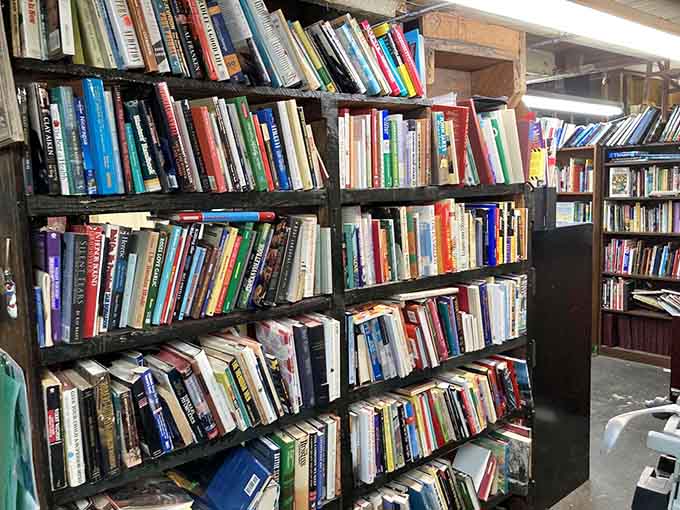 Floor-to-ceiling bookshelves promise literary adventures for readers who still appreciate the printed page.