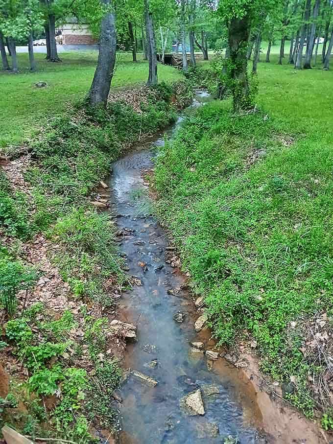 A quiet little creek winds through the valley below, reminding you that the best soundtracks in life are free.