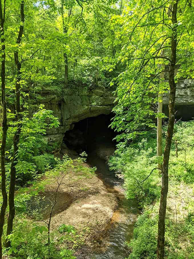 That little creek flowing out of the cave opening provided fresh water for thousands of years of human life. Still flowing. Still beautiful.