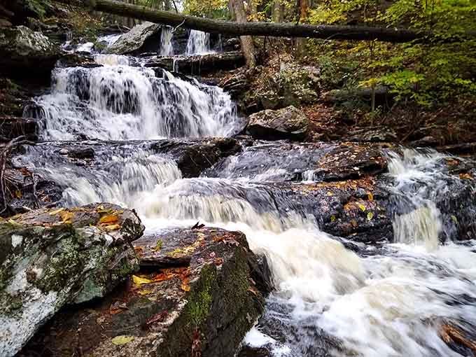 Waterfalls in Connecticut exist, and this one tumbles over mossy rocks like it's been practicing for centuries.