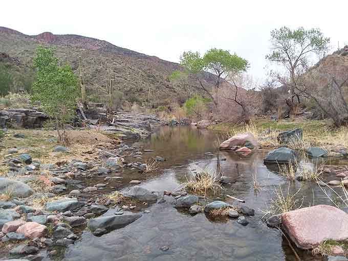 Low water levels reveal the rocky personality of Salome Creek's winding path.