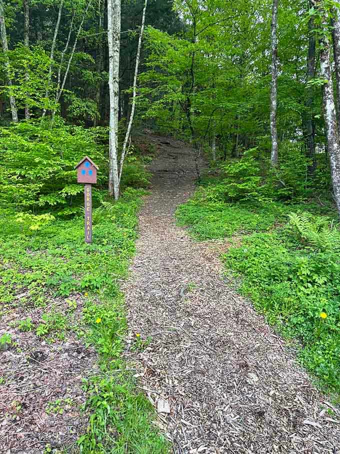 The Gorge Trail marker is basically nature's polite way of saying, "Something wonderful is waiting just around the bend."