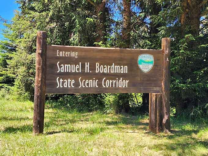 The sign that marks the beginning of thirteen miles of pure, unfiltered coastal magic. You've been warned.