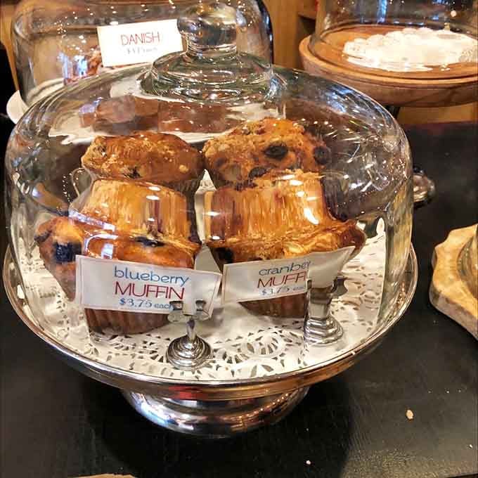 Blueberry and cranberry muffins sitting under a glass dome, looking like they belong in a painting and taste even better.